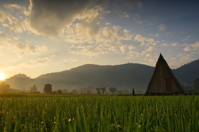 Essential Bali: The Complete Island Guide - Final Thoughts: Is This Tour Right for You?