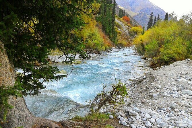 Essential Day Trip to Ala Archa National Park - Price and value analysis