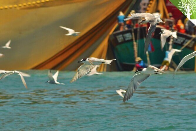 Essential Langkawi Group Tour - Top Attractions in a Day" - Who Should Consider This Tour?