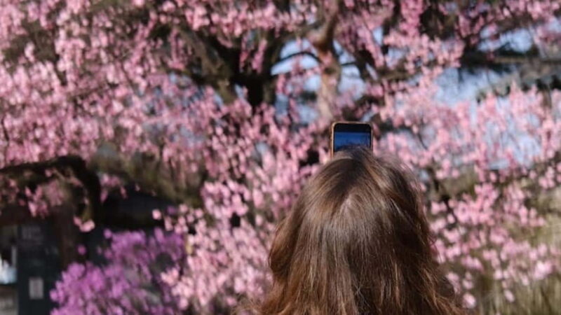 Essential Seoul: Hanbok, Hanok & Handmade Noodles - A Practical, Well-Rounded Introduction to Seoul