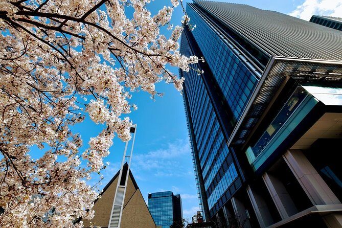 Essential tour for fashion and art in Tokyo for 6 hours with local lunch - A Thorough Look at the Itinerary