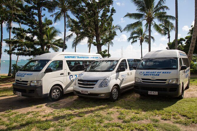 Established Return Airport Transfer Proserpine to Airlie Beach - Introduction
