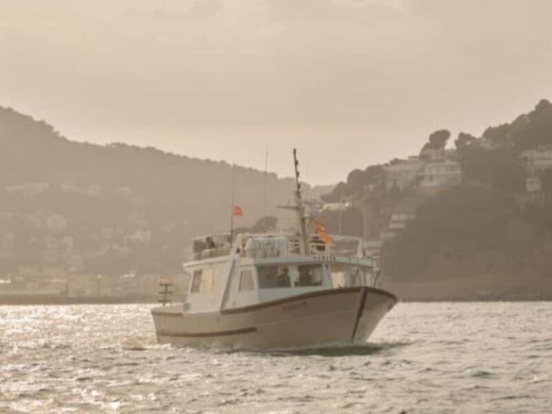 Estartit: Sunset Cruise with Snorkeling and a Drink - The Itinerary in Detail