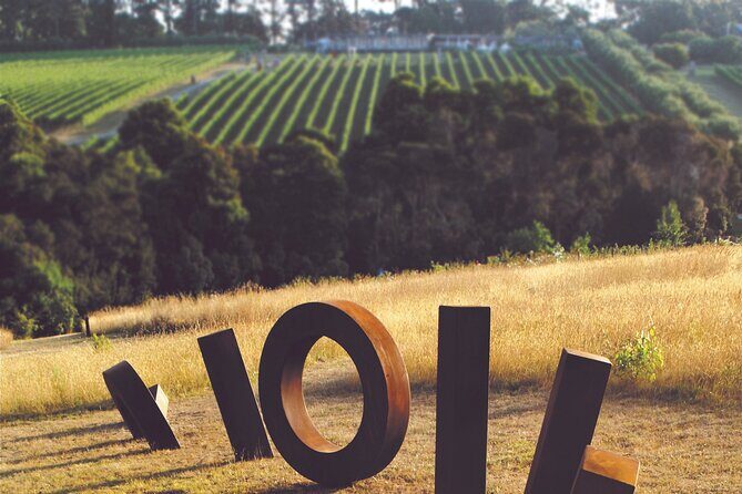Estate to Plate: Montalto Vineyard Gourmet Lunch and Wine-Tasting Tour - Practical Details & Value for Money