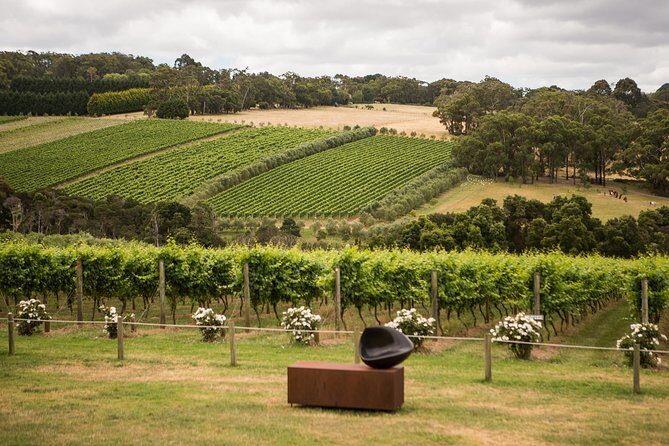 Estate to Plate: Montalto Vineyard Gourmet Lunch and Wine-Tasting Tour - Final Thoughts: Who Will Love This Tour?