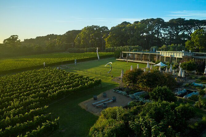 Estate to Plate: Montalto Vineyard Gourmet Lunch and Wine-Tasting Tour - FAQs