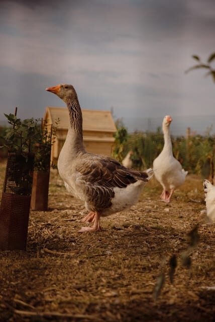 Estate tour and tasting - Key Points