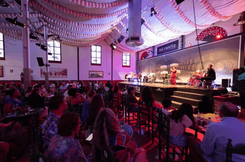 Estepona: Andalusian Flamenco Show Entry Ticket with Drink - Practical Tips