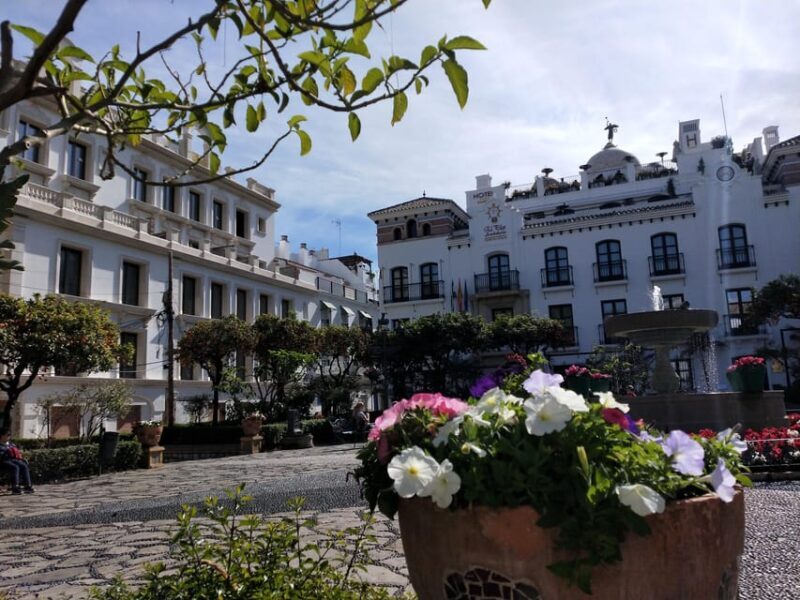 Estepona Art Murals and Tapas Walk with Local Guide - FAQ