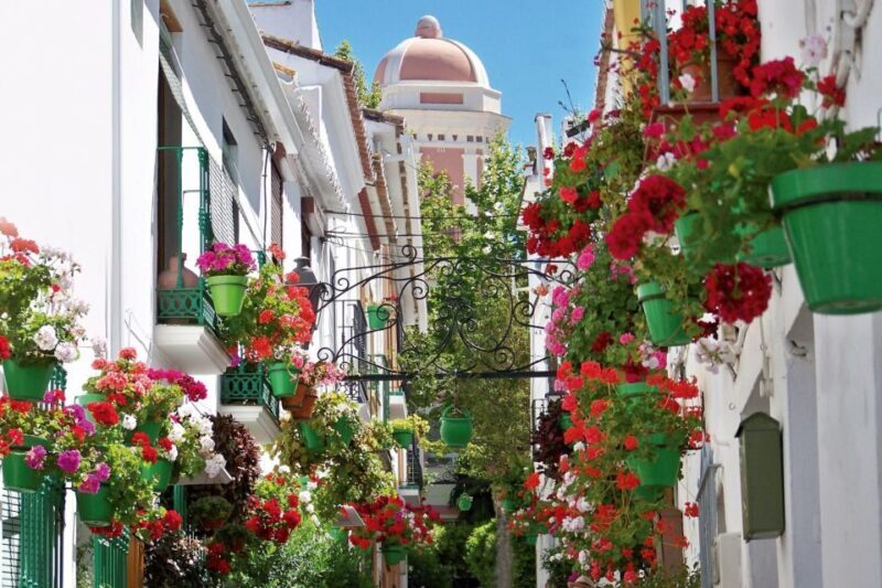 Estepona best kept secrets: City bike guided tour - Practical Details and Tips