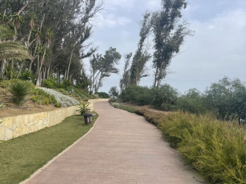 Estepona Bike Tour - Practical Considerations and Tips