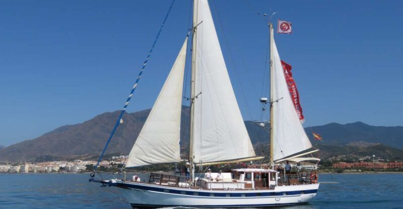 Estepona: Dolphin Watching Sailboat Cruise with Drink - A Deep Dive into the Estepona Dolphin Watching Experience