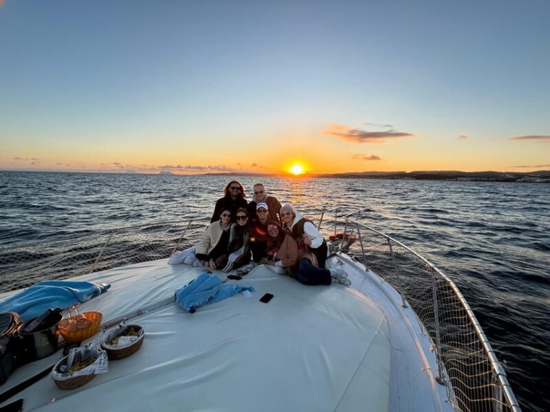 Estepona: Dolphins Searching Sea Cruise with Drink & Snacks - The Experience: Who Its For