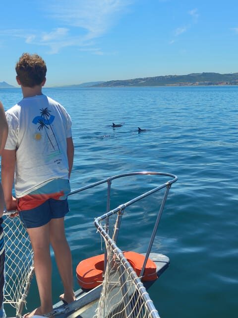 Estepona: Dolphins Searching Sea Cruise with Drink & Snacks - The Sum Up