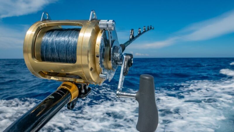 Estepona: Fishing Tour StartFisher 1060 - Key Points