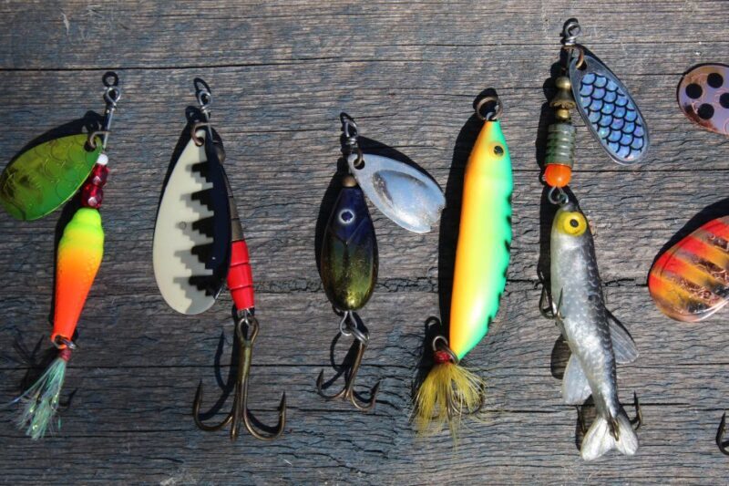 Estepona: Fishing Tour StartFisher 1060 - Why Choose the Estepona Fishing Tour?