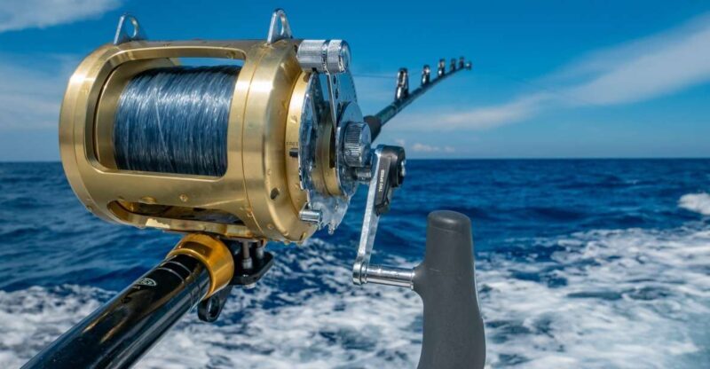Estepona: Fishing Tour StartFisher 1060 - The Value Proposition