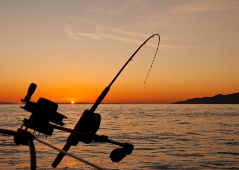 Estepona: Fishing Tour StartFisher 1060 - An In-Depth Look at the Itinerary