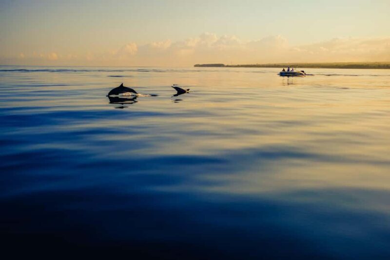 Estepona: Private sailing trip ideal for groups of up to 10 people. - FAQ