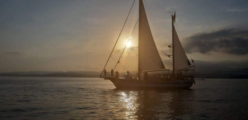 Estepona: Sunset Sailboat Cruise with Drink - What to Expect on the Water