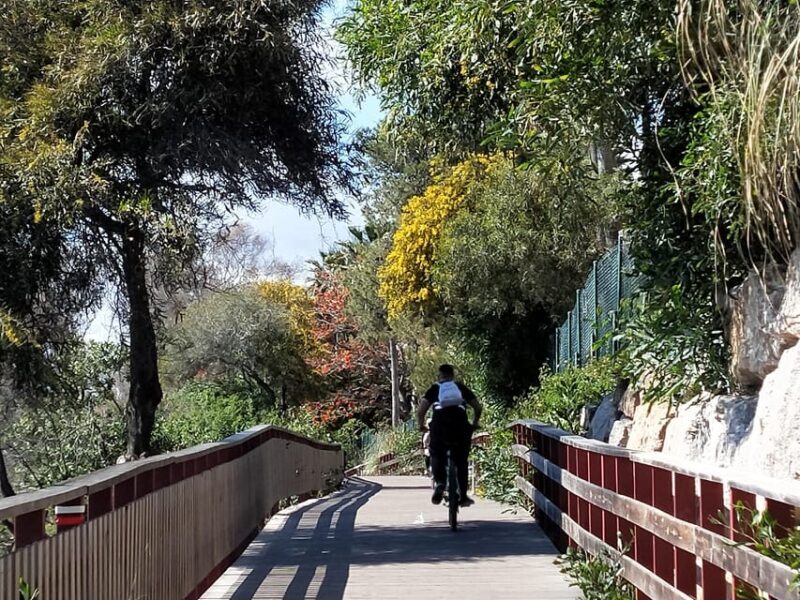 Estepona Walking Tour - City History, Culture & Gastronomy - Exploring Estepona: A Walk Through History, Culture, and Flavors