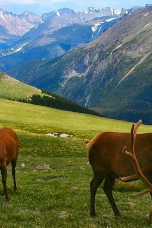 Estes Park: Bear Lake Corridor Tour - The Guided Experience: Why It Matters