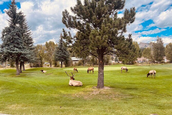 Estes Park Guided E-Bike Tour - Authentic Experiences from Travelers
