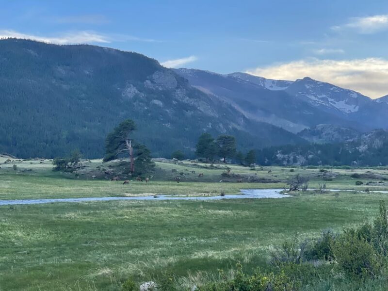Estes Park: Guided Sunset Elk Mating Ritual Tour - Transportation and Practical Details
