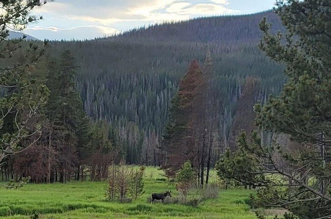 Estes Park Off Road 4x4 Jeep Adventure Tour - FAQs