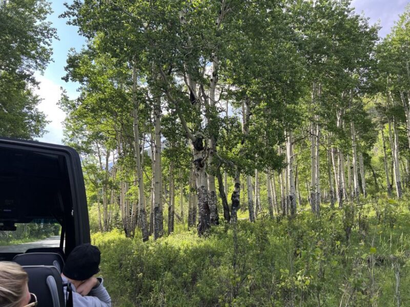 Estes Park: Rocky Mountain National Park Glass-Top Bus Tour - The Guides: Knowledge and Personality Matter