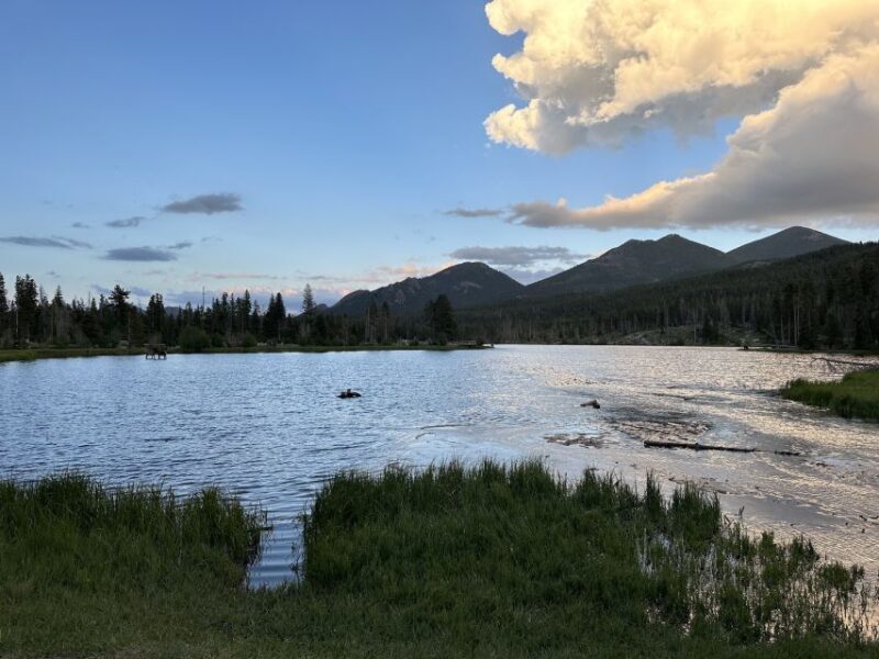 Estes Park: Rocky Mountain National Park Glass-Top Bus Tour - Pricing and Value: Is It Worth It?