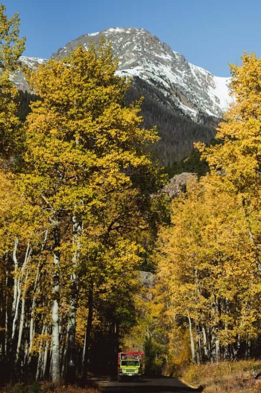 Estes Park: Rocky Mountain National Park - Grand Lake Tour - Authentic Experience and Guides That Shine