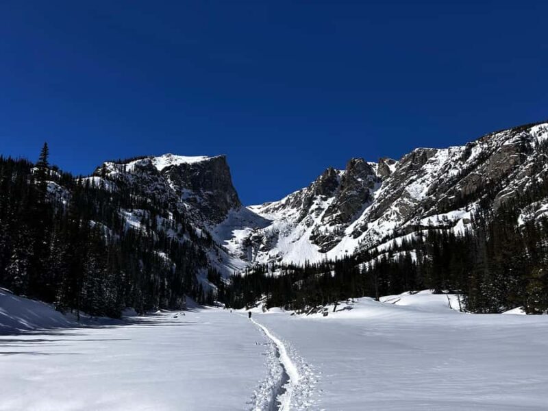 Estes Park: Rocky Mountain National Park Snowshoeing Tour - Practical Tips for Your Snowshoeing Tour