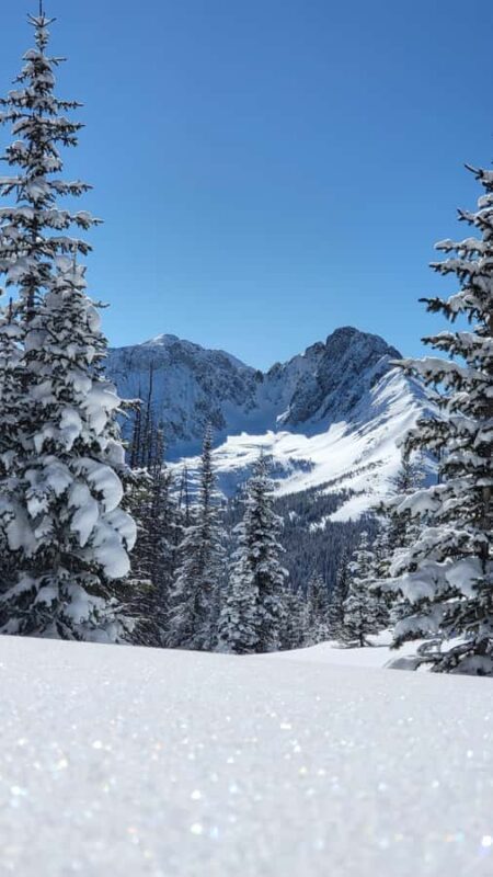 Estes Park: Rocky Mountain National Park Snowshoeing Tour - The Sum Up