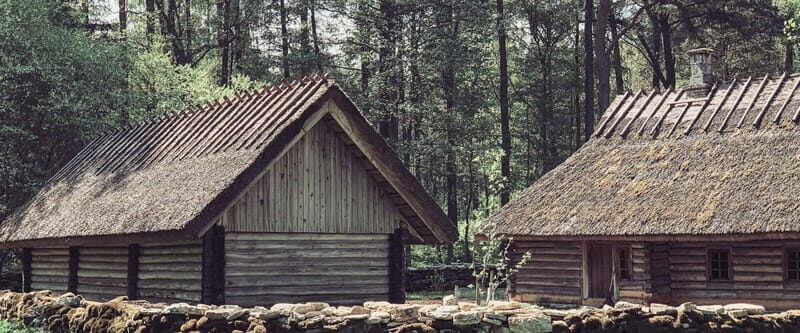 Estonian Open Air Museum  Cultural Experience from Tallinn - An In-Depth Look at the Experience