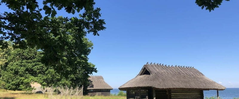 Estonian Open Air Museum  Cultural Experience from Tallinn - Authenticity and Traveler Feedback
