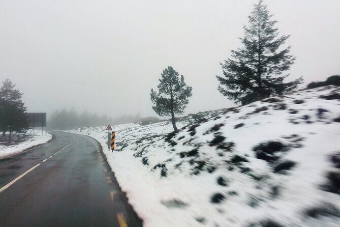 Estrela Mountain, full-day from Coimbra - What the Experience Means for Travelers