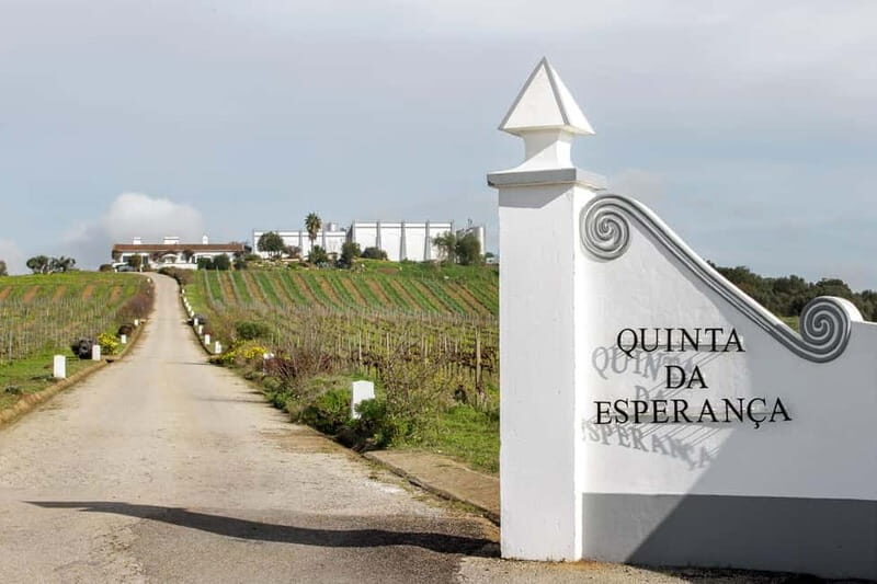 Estremoz, Alentejo, Portugal: Wine tour & Wine tasting - Key Points