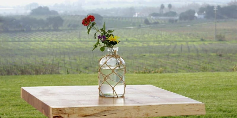 Estremoz, Alentejo, Portugal: Wine tour & Wine tasting - Final Thoughts