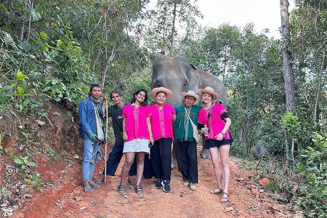 Ethical Elephant Observation Half Day from Chiang Mai - Ethical Elephant Observation Half Day from Chiang Mai: A Genuine Connection with These Gentle Giants