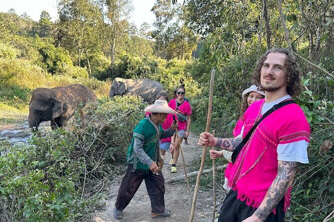 Ethical Elephant Observation Half Day from Chiang Mai - Key Points
