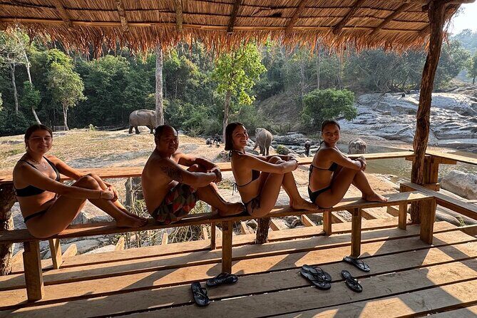 Ethical Elephant Observation Half Day from Chiang Mai - Final Thoughts
