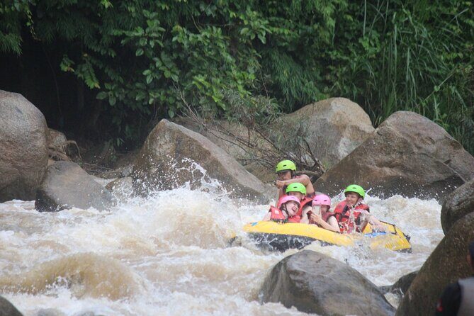 Ethical Elephant Visit and White Water Rafting in Chiang Mai - An Honest Look at the Experience