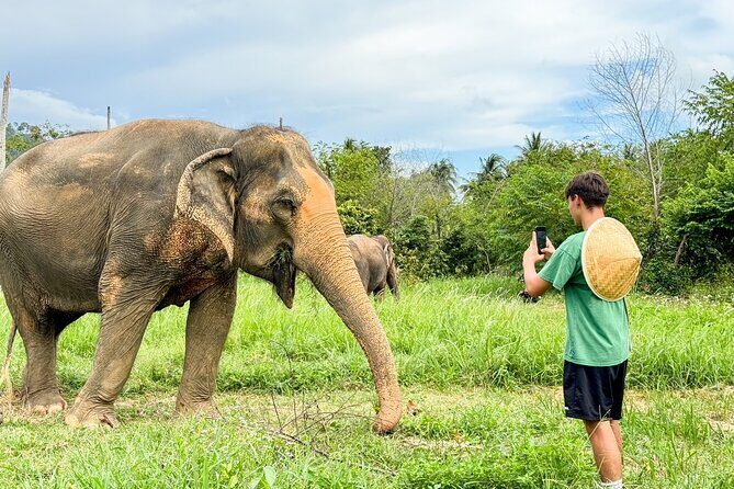 Ethical Elephants Sanctuary and Coconut Experience in Koh Samui - Key Points