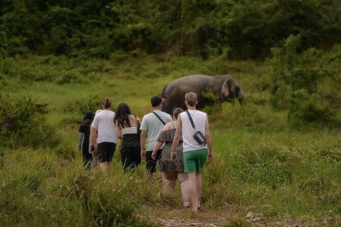 Ethical Elephants Sanctuary and Coconut Experience in Koh Samui - Who Will Love This Tour?