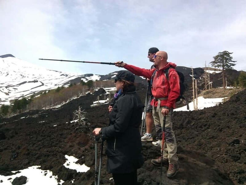 Etna: 2002 Eruption Craters Guided Hiking Tour - Key Points