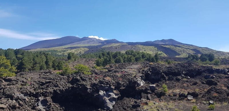 Etna and surroundings with honey tasting - Is It Worth the Price?