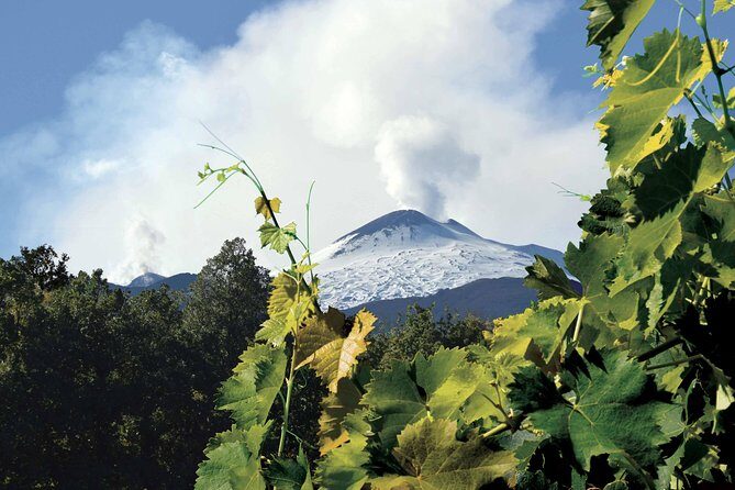 Etna and Wines Tour - An In-Depth Look at the Etna and Wines Tour