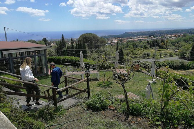 Etna and Wines Tour - Final Thoughts