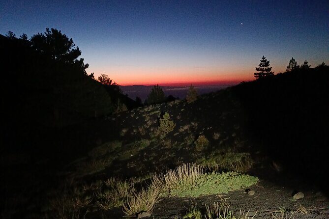 Etna at dawn Private Guided Tour - What Travelers Say